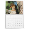 Squirrels Calendar | Zazzle