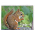 Squirrels Calendar | Zazzle