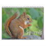 Squirrels Calendar | Zazzle