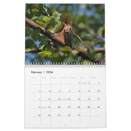 Squirrels Calendar | Zazzle