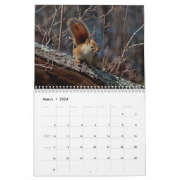 Squirrels Calendar | Zazzle