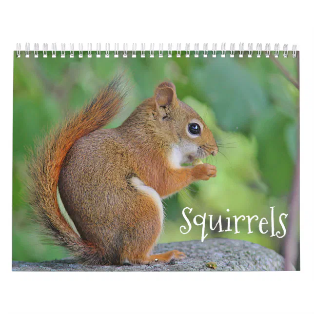 Squirrels Calendar | Zazzle