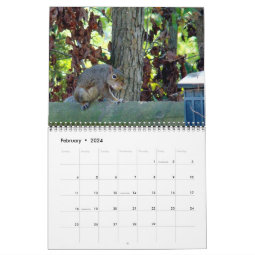 Squirrels Calendar | Zazzle