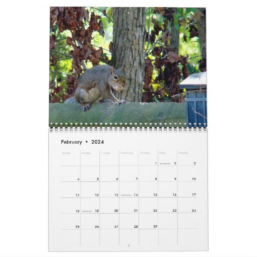 Squirrels Calendar | Zazzle