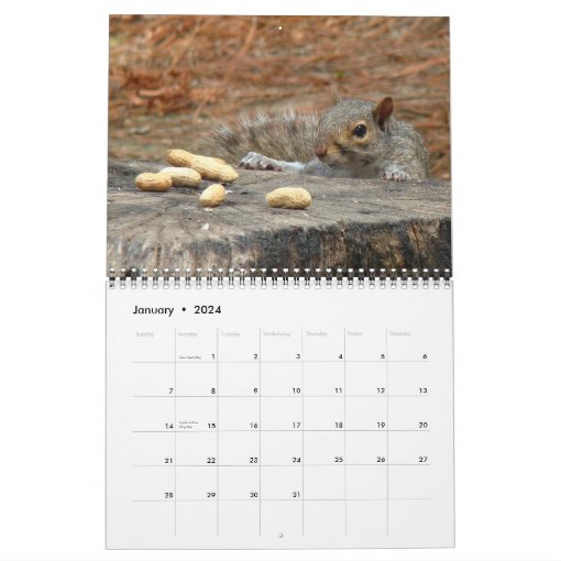 Squirrels Calendar | Zazzle