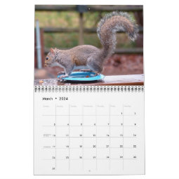 Squirrels Calendar | Zazzle