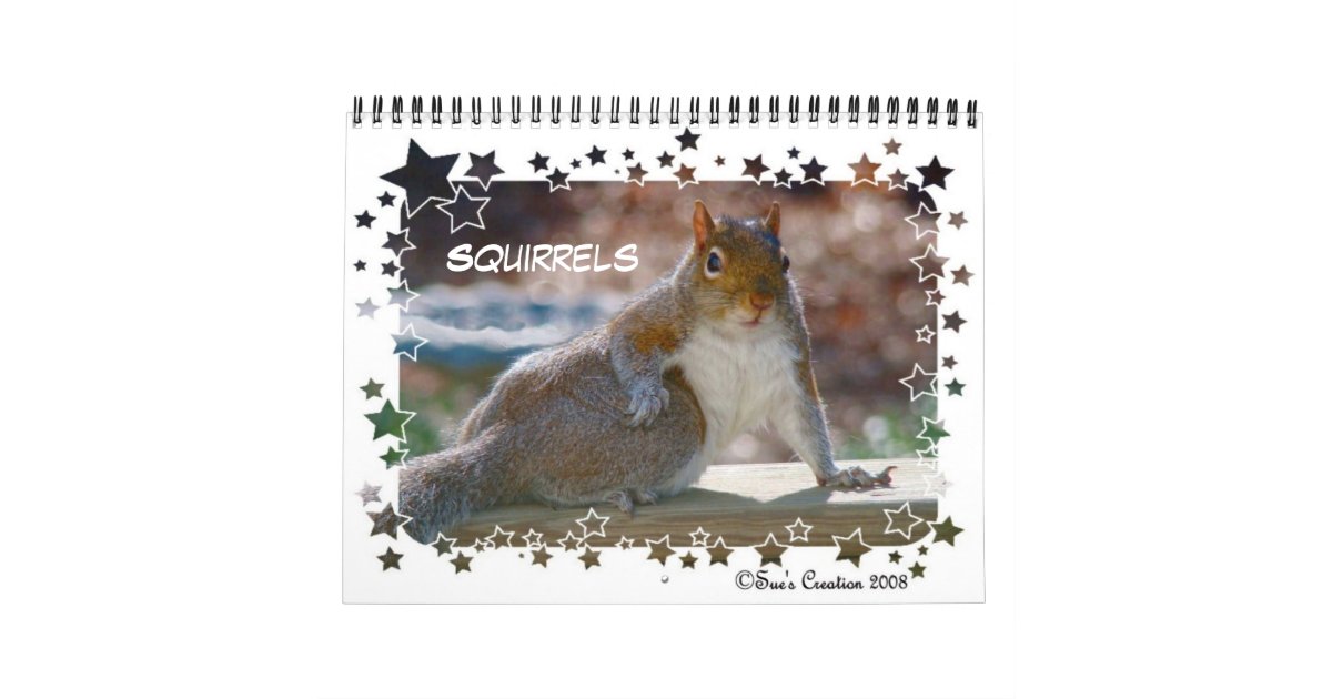 Squirrels Calendar | Zazzle