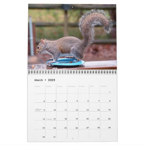 Squirrels Calendar | Zazzle