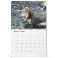 Squirrels Calendar | Zazzle