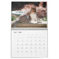 Squirrels Calendar | Zazzle