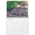 Squirrels Calendar | Zazzle