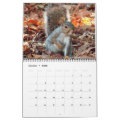 Squirrels Calendar | Zazzle