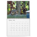 Squirrels Calendar | Zazzle