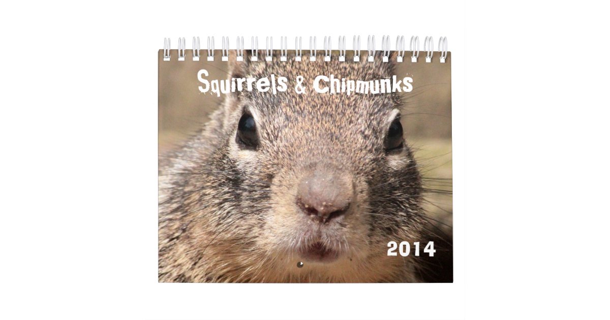 Squirrels & Chipmunks Calendar | Zazzle