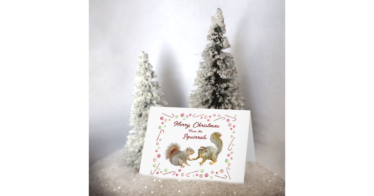 Squirrels with Peppermint Candy Christmas Card | Zazzle