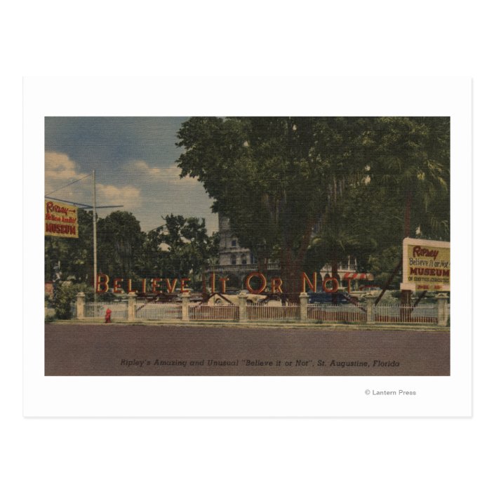 St. Augustine, FL - Ripley's Believe-it-or-Not Postcard | Zazzle.com