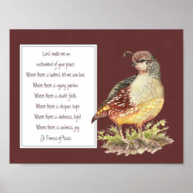 St. Francis of Assisi Prayer California Quail Bird Poster | Zazzle