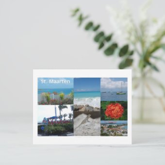 St. Maarten-St. Martin by Celeste Sheffey Postcard | Zazzle