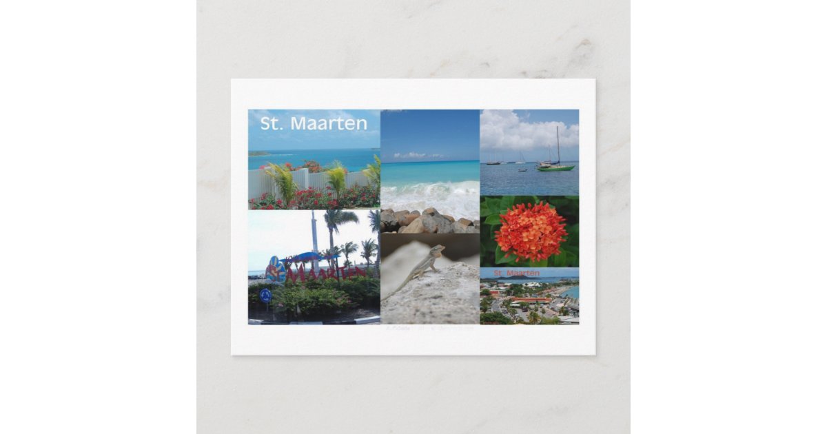 St. Maarten-St. Martin by Celeste Sheffey Postcard | Zazzle