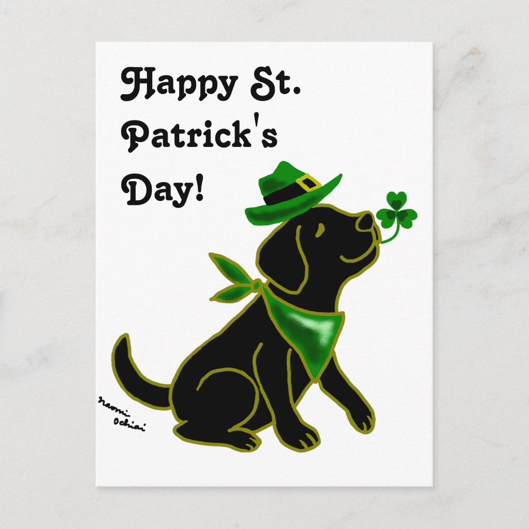 St. Patrick's Day Black Labrador Postcard | Zazzle