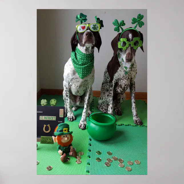 St. Patrick's Day Dogs Party Value Poster | Zazzle