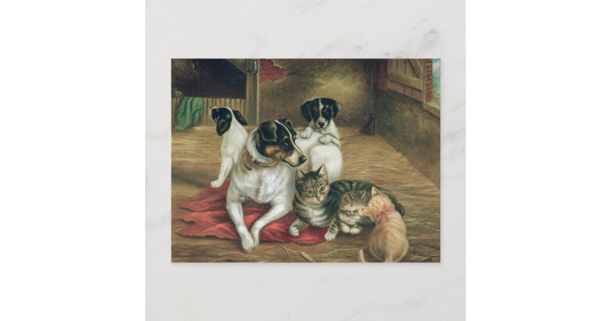 Stable friends postcard | Zazzle