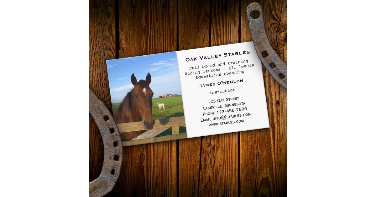 Stables Horse Riding Lessons Business Card | Zazzle