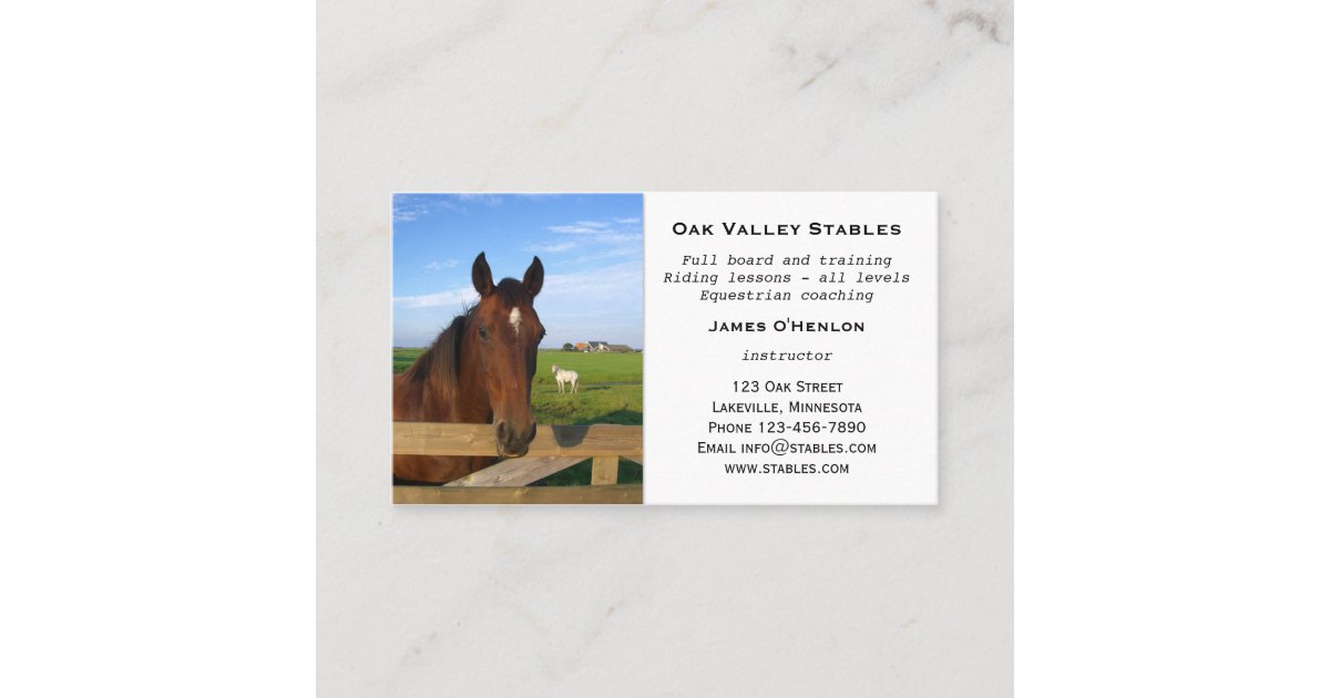 Stables Horse Riding Lessons Business Card | Zazzle