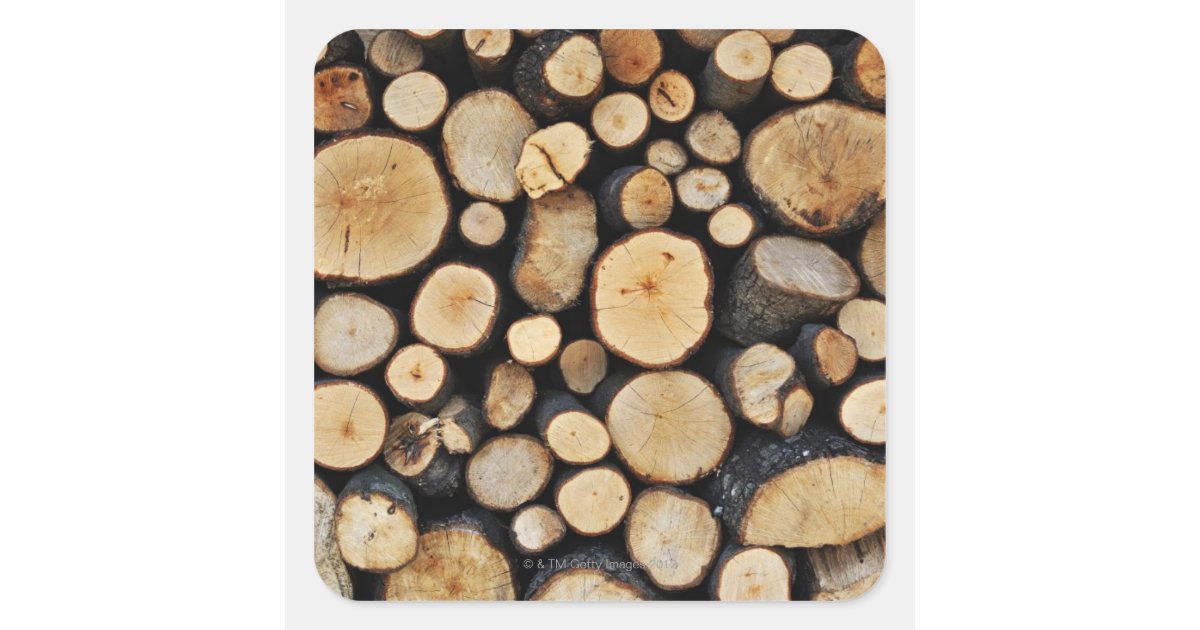 Stack of tree logs square sticker | Zazzle
