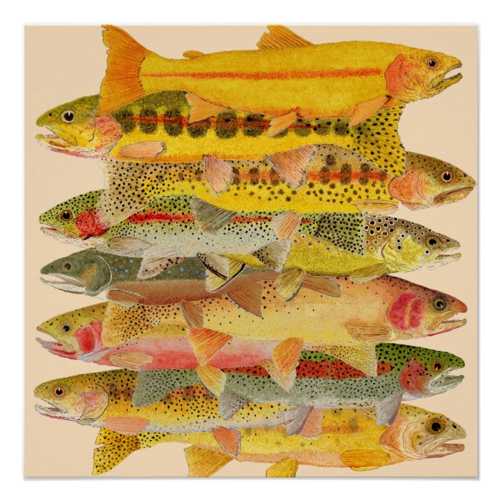 Stacked Deck- Trout Poster | Zazzle.com