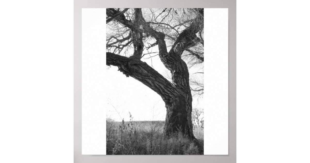 Stand Alone Poster | Zazzle