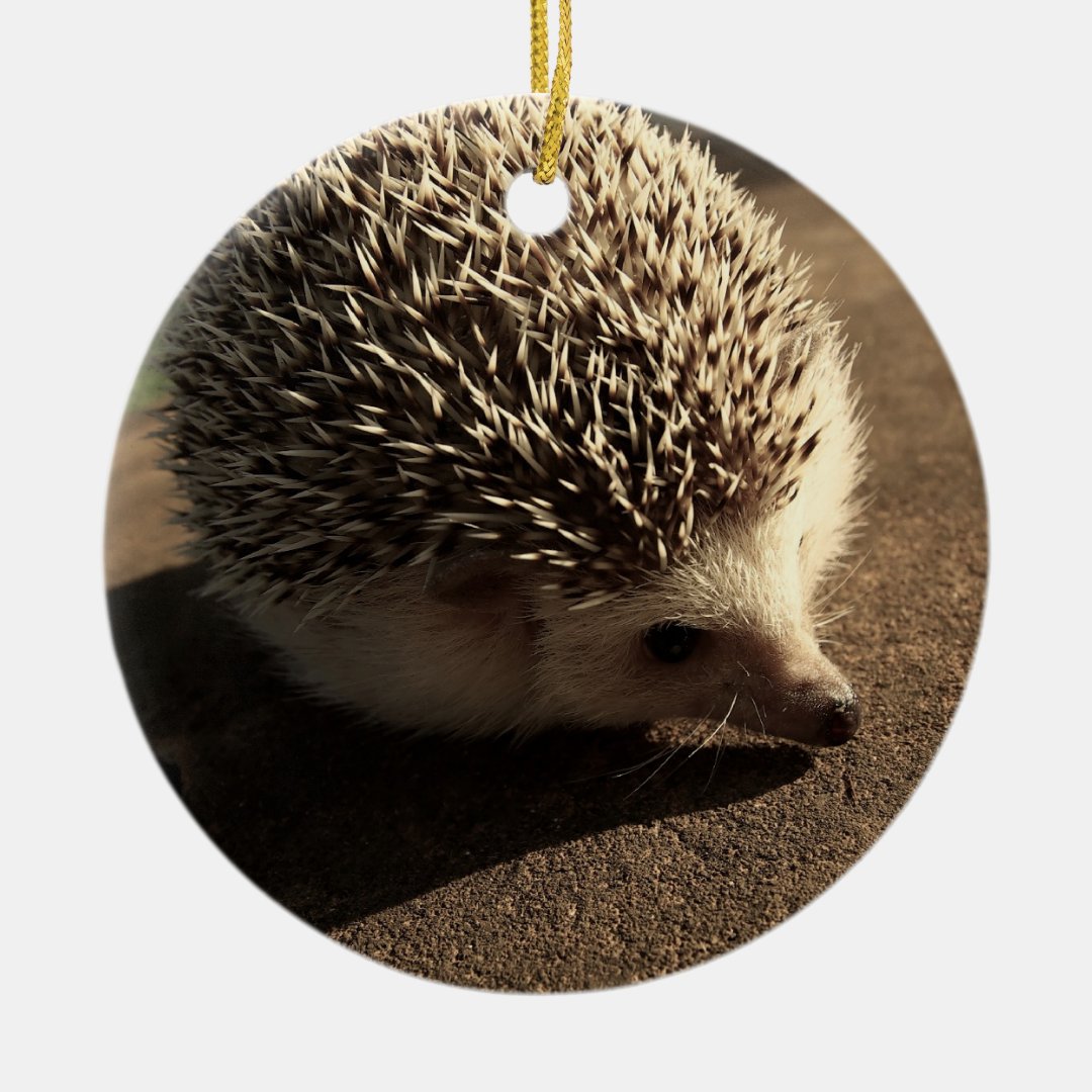 Standard hedgehog ornament | Zazzle