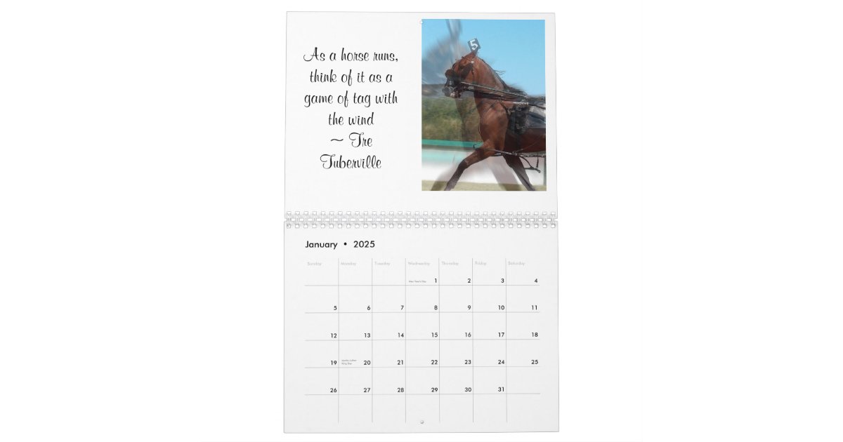 Standardbred Harness Racing Calendar 2013 | Zazzle
