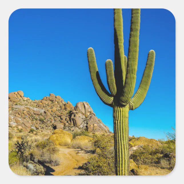 Standing Cactus Square Sticker | Zazzle