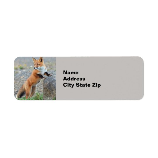 Standing Red Fox Label | Zazzle.com