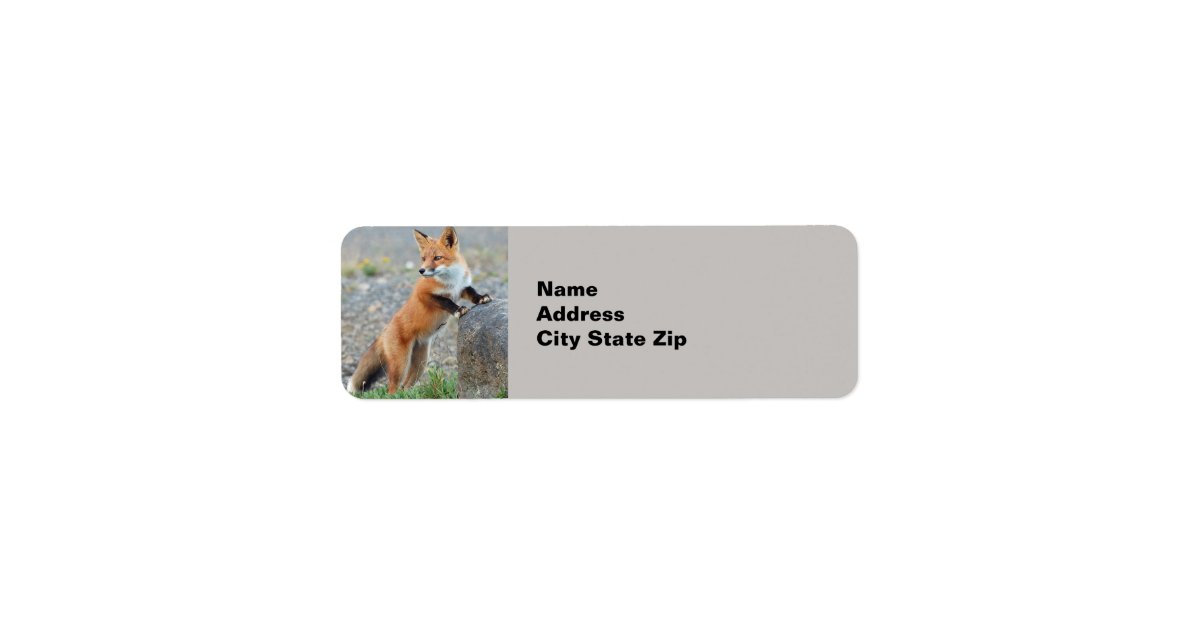 Standing Red Fox Label | Zazzle