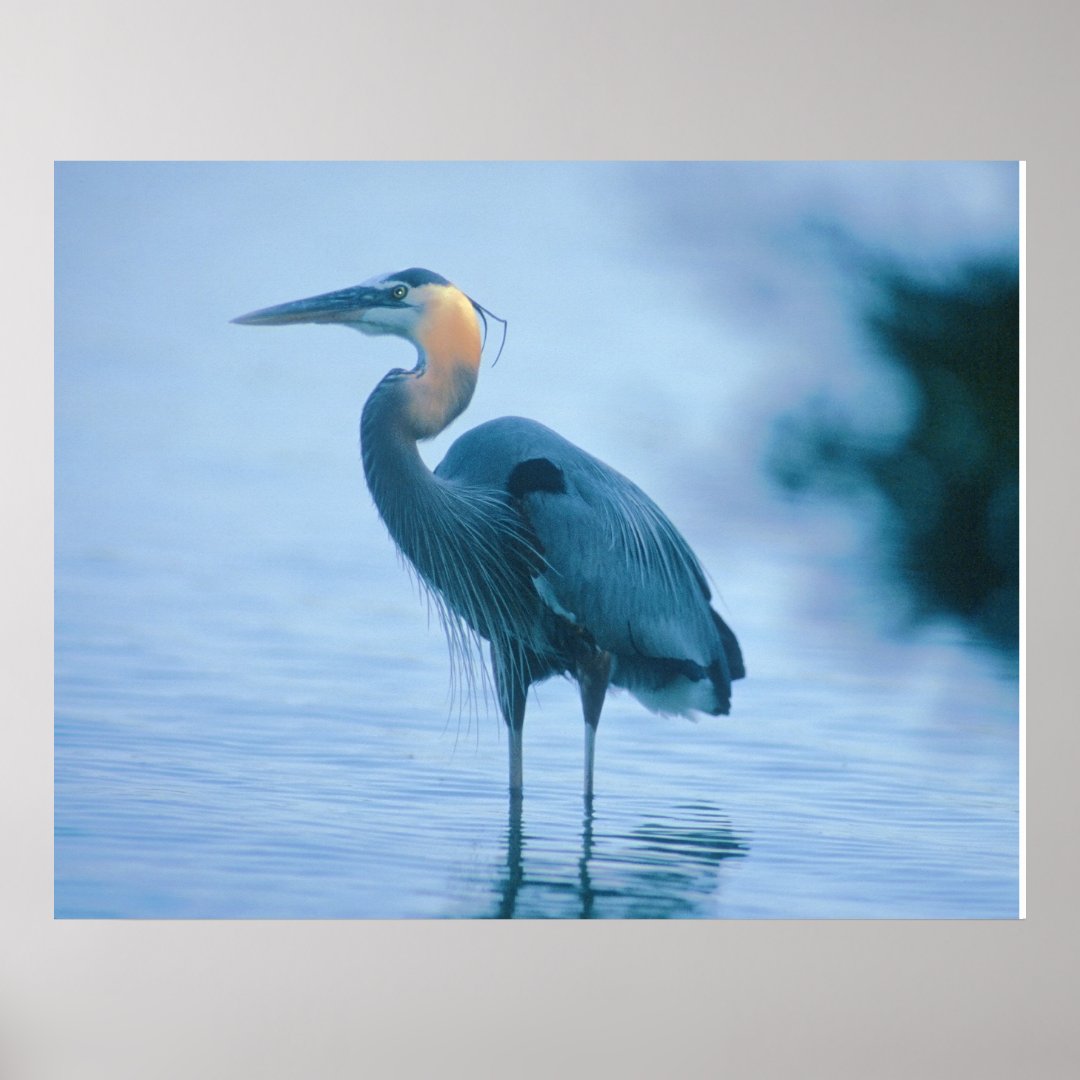 Standing Tall Poster | Zazzle