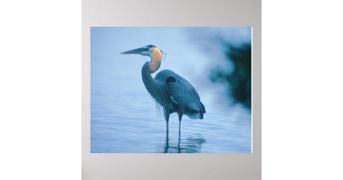 Standing Tall Poster | Zazzle