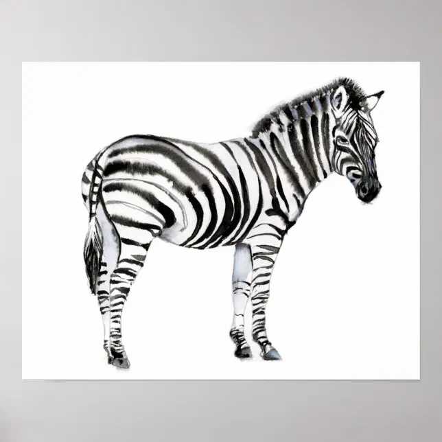 Standing Zebra Poster | Zazzle