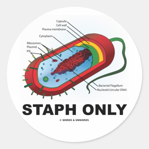 800+ Bacteria Stickers and Bacteria Sticker Designs | Zazzle