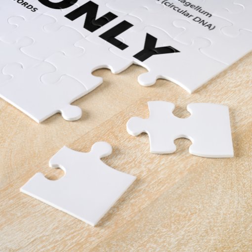 Staph Only (Bacterium Diagram Prokaryote Bacteria) Jigsaw Puzzle | Zazzle