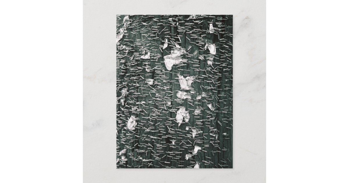 Staples Postcard | Zazzle