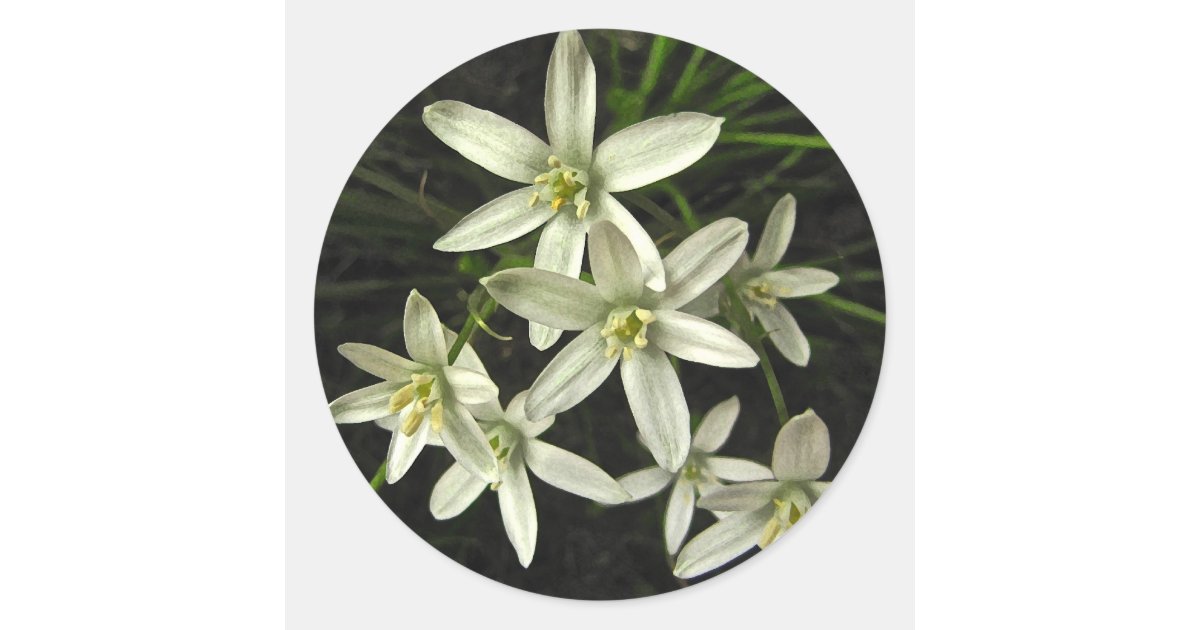Star of Bethlehem Classic Round Sticker | Zazzle