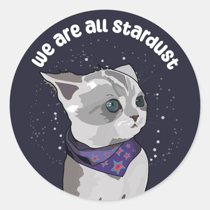 Stardust Kitten Classic Round Sticker | Zazzle