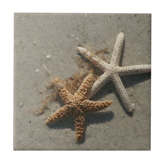Starfish Ceramic Tile Trivet | Zazzle.com