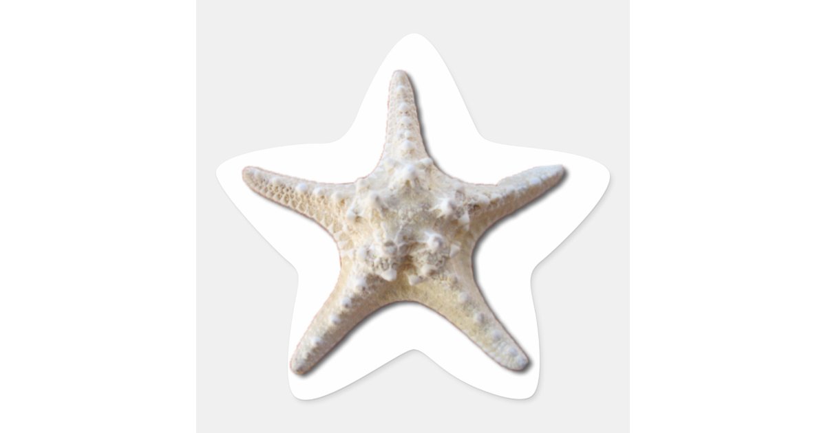 Starfish STicker - white | Zazzle