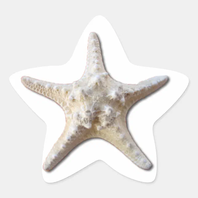 Starfish STicker - white | Zazzle
