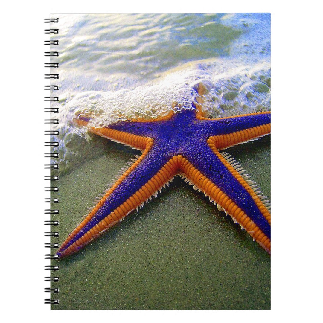 Starfish Tropical Sandy Beach Sea Wave Notebook | Zazzle