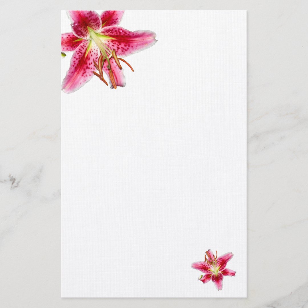 Stargazer Lily Decorated Blank Stationery | Zazzle