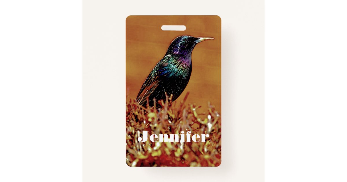 Starling Bird Badge | Zazzle